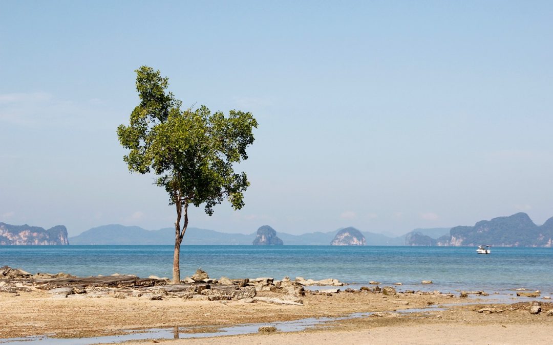 Title: “Exploring the Extended Einstein-aether-axion Theory: Two-Level ...