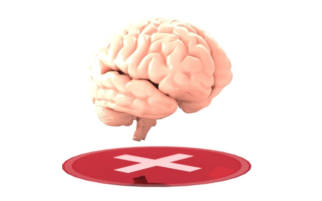 BMapOpt: Optimization of Brain Tissue Probability Maps using a ...