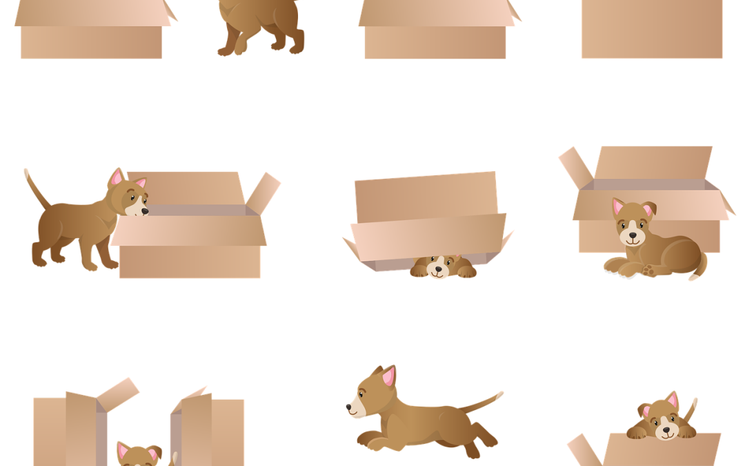 “5 Essential KDnuggets Cheat Sheets for Data Science Beginners” | Qubixity.net