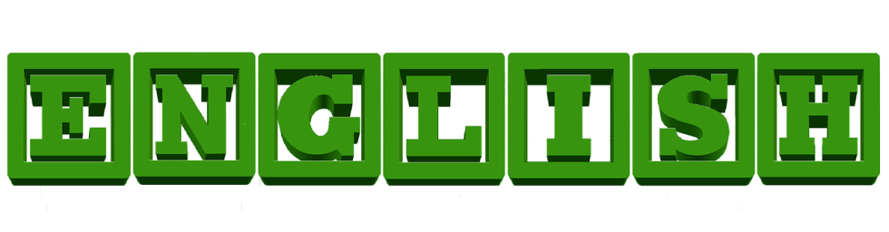 “EEmo-Bench: Evaluating Image-Evoked Emotions in Multi-Modal Large Language | Qubixity.net